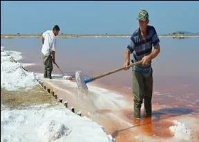 Ιστορία και συγκομιδή - Ελληνικές Αλυκές - saltworks.gr Ελληνικές ...